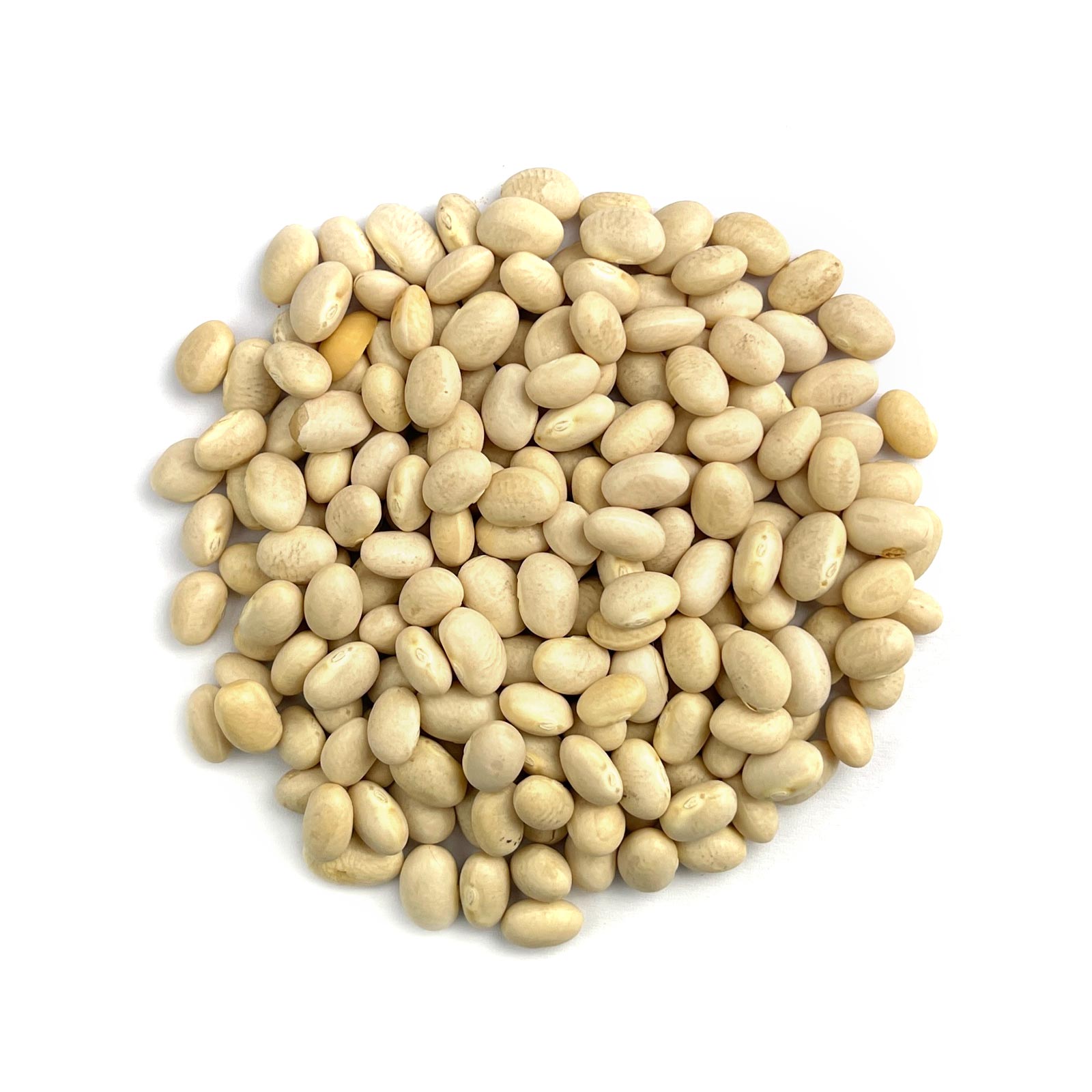 Trumps | NAVY BEANS (HARICOT) 25KG IMPORTED