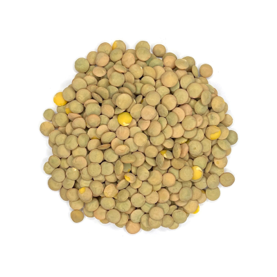 Trumps | LENTILS GREEN WHOLE 25KG